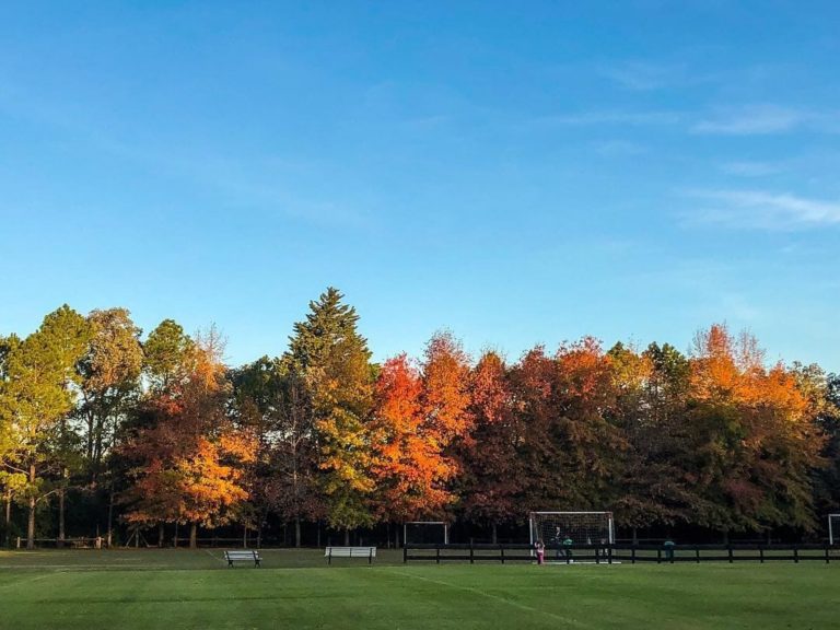 Inicio - Los Cardales